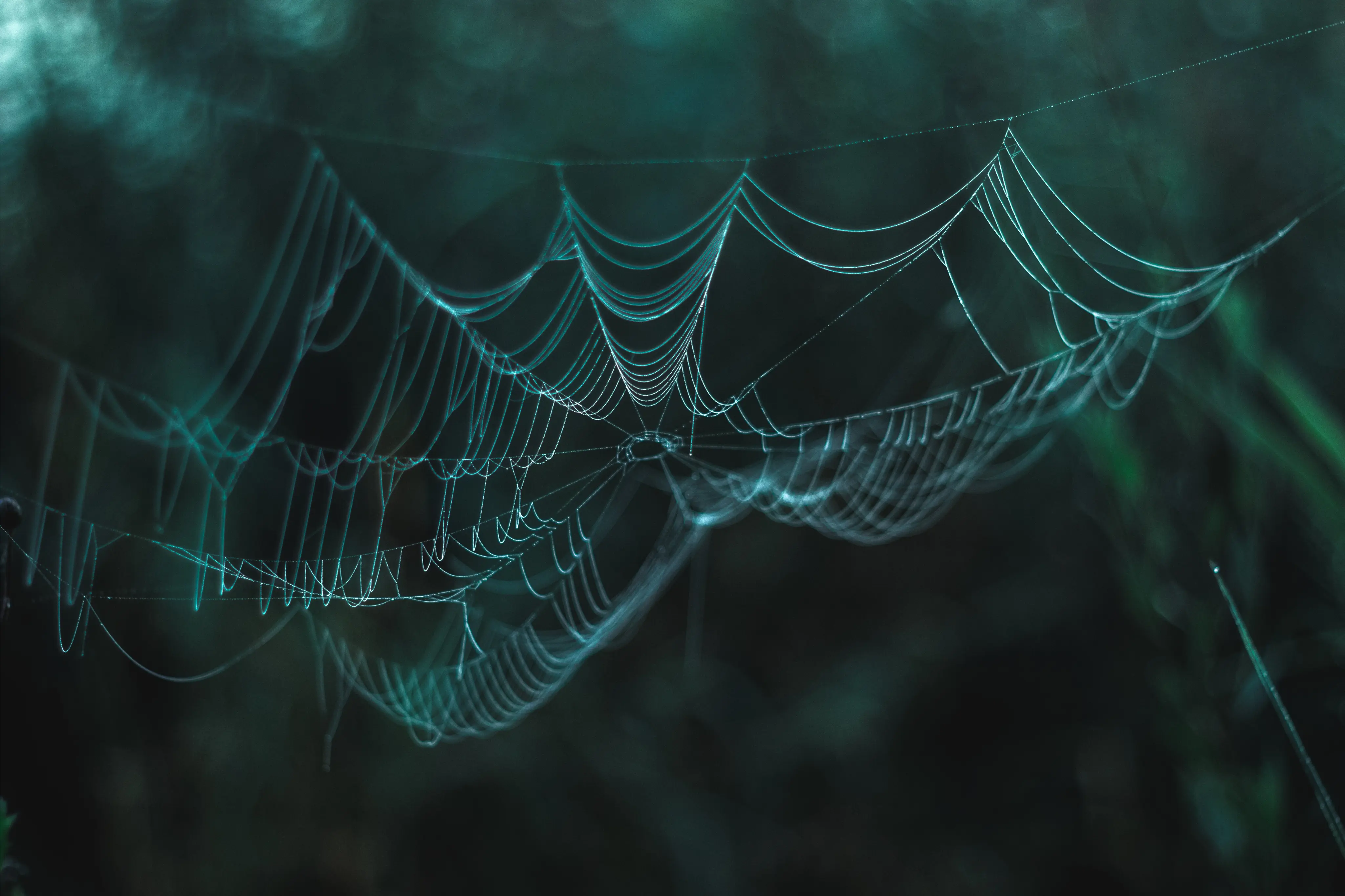 Are elliptic curves going to survive the quantum apocalypse? | PSE